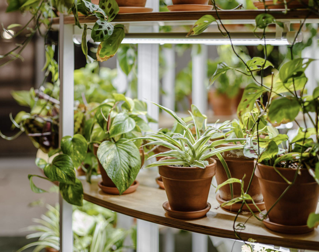 ECO Solidarity Returns to ICFF - ICFF